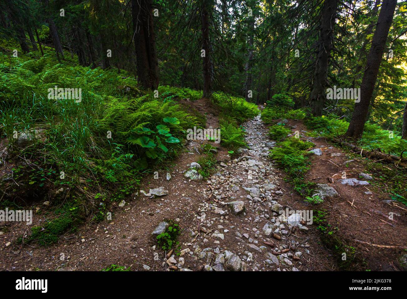 Beautiful path around Chopok and Dumbier mountain with Stefanika ...