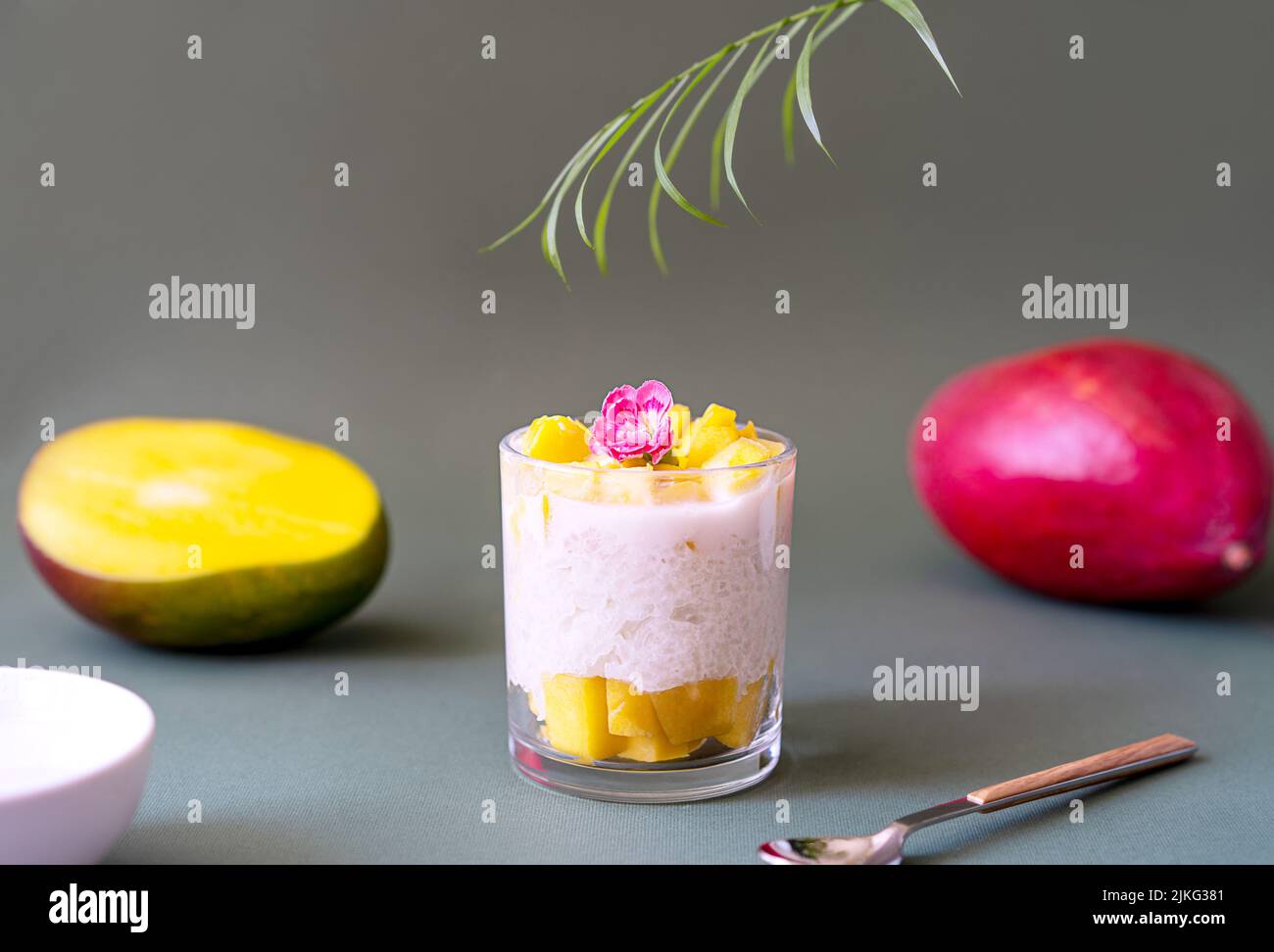 Thai mango dessert with sticky rice and coconut milk decorated by ...