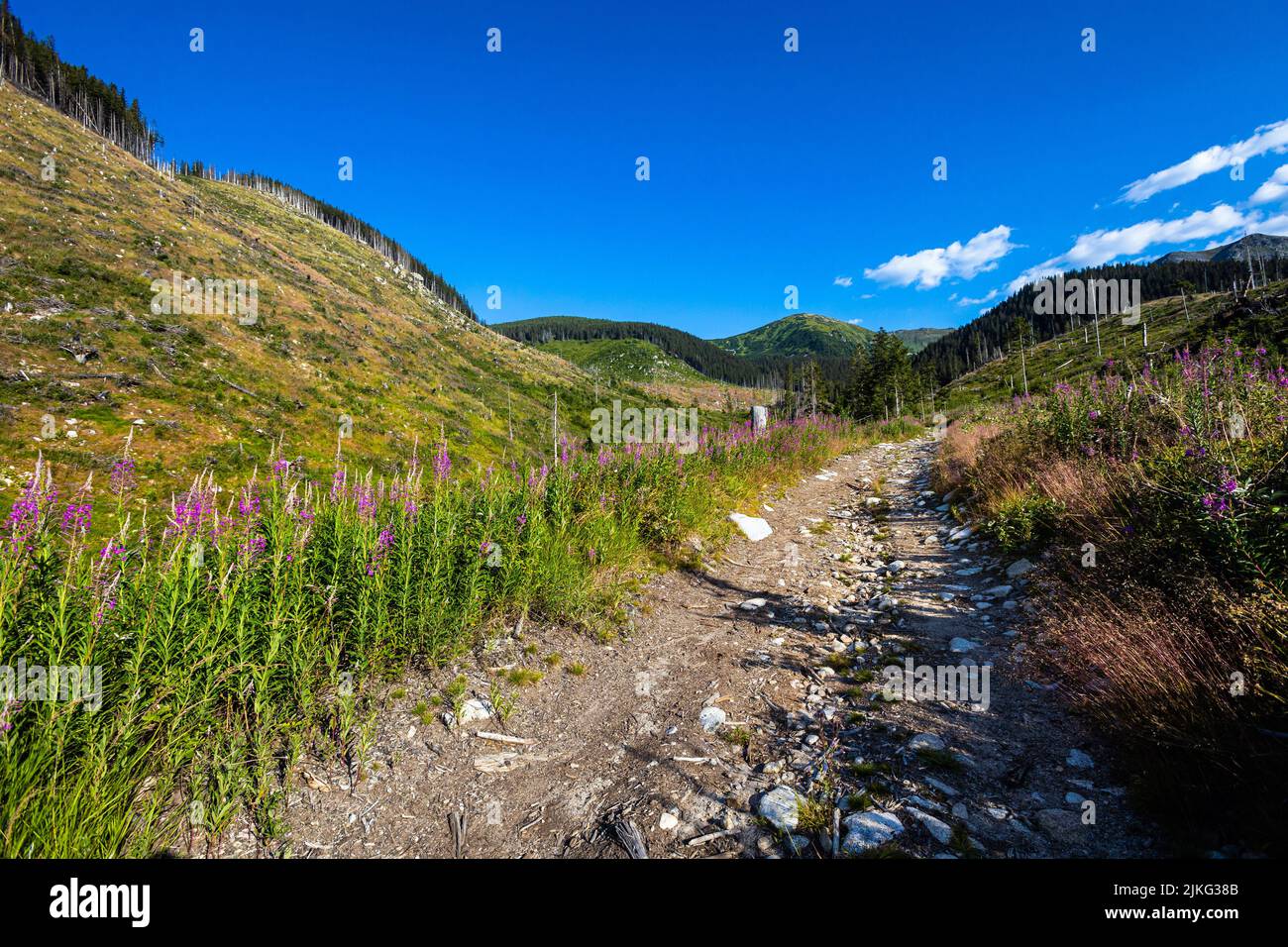 Beautiful path around Chopok and Dumbier mountain with Stefanika ...