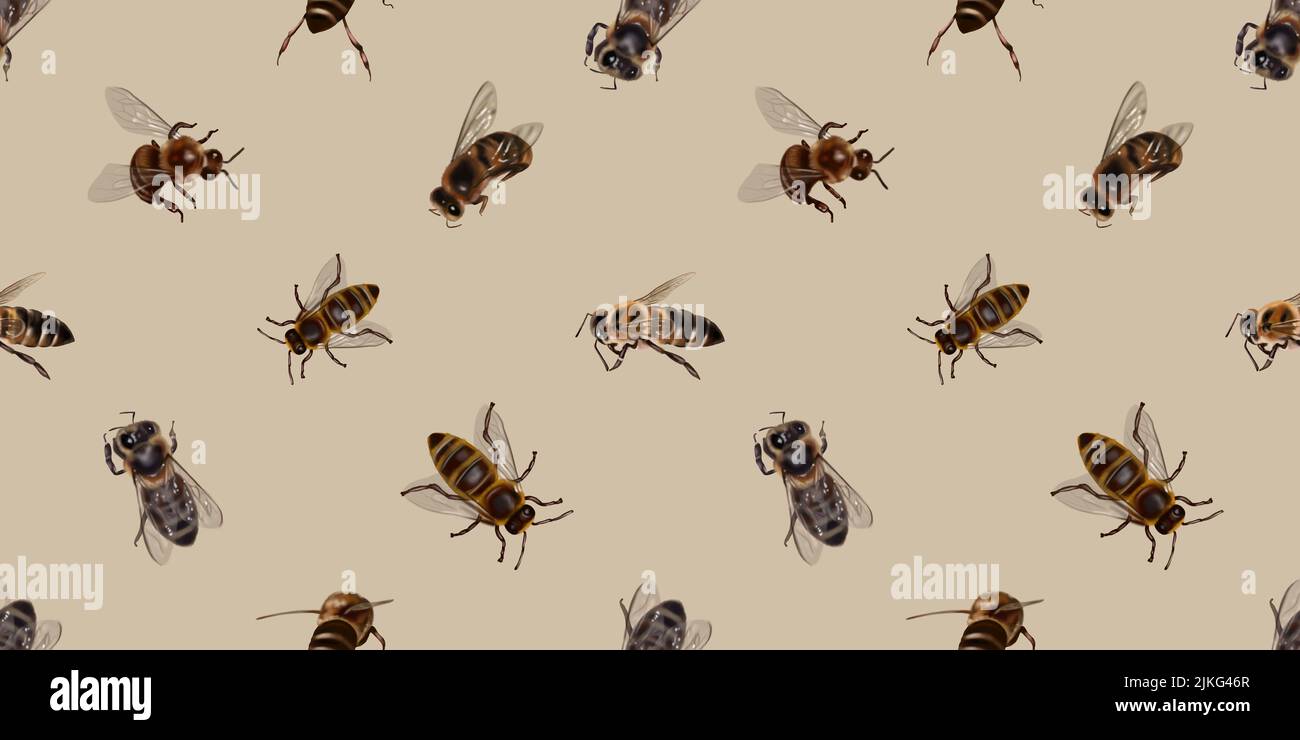 Watercolor seamless pattern of honey bees. Realistic illustration of ...