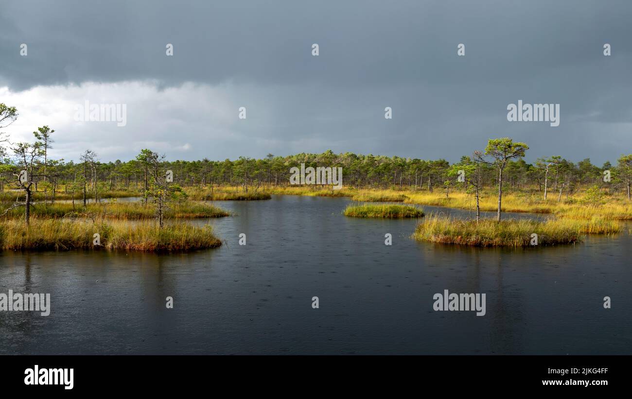 Dramatic clouds on the horizon, beautifu bog landscape before the storm ...