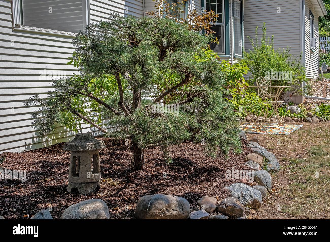 Japanese topiary and a japanese lantern in a beautiful summer garden ...