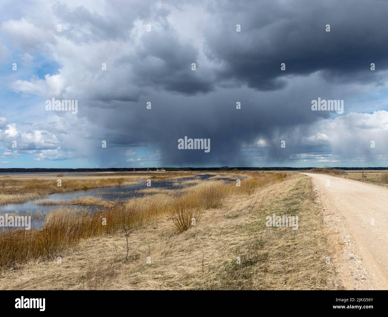 simple rural landscape with a rural road, beautiful cumulus clouds ...