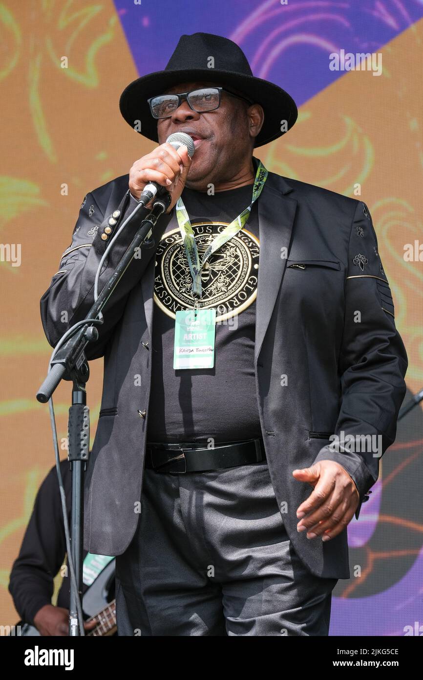 Kanda Bongo Man performs on stage during the 40th Anniversary of the ...
