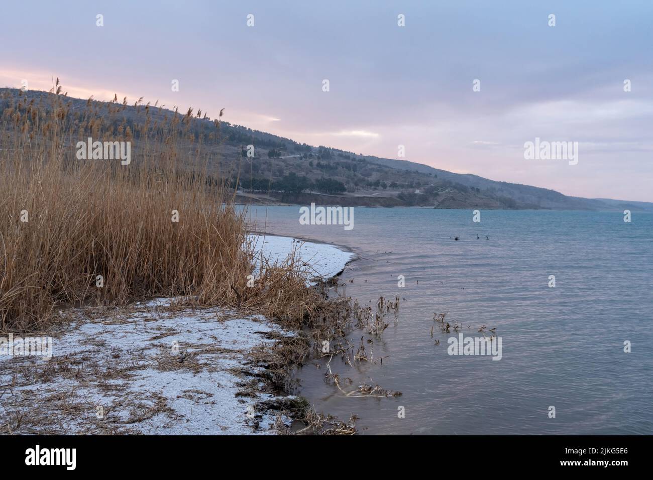 Coast of Tbilisi water reservoir in winter morning. Nature Stock Photo ...