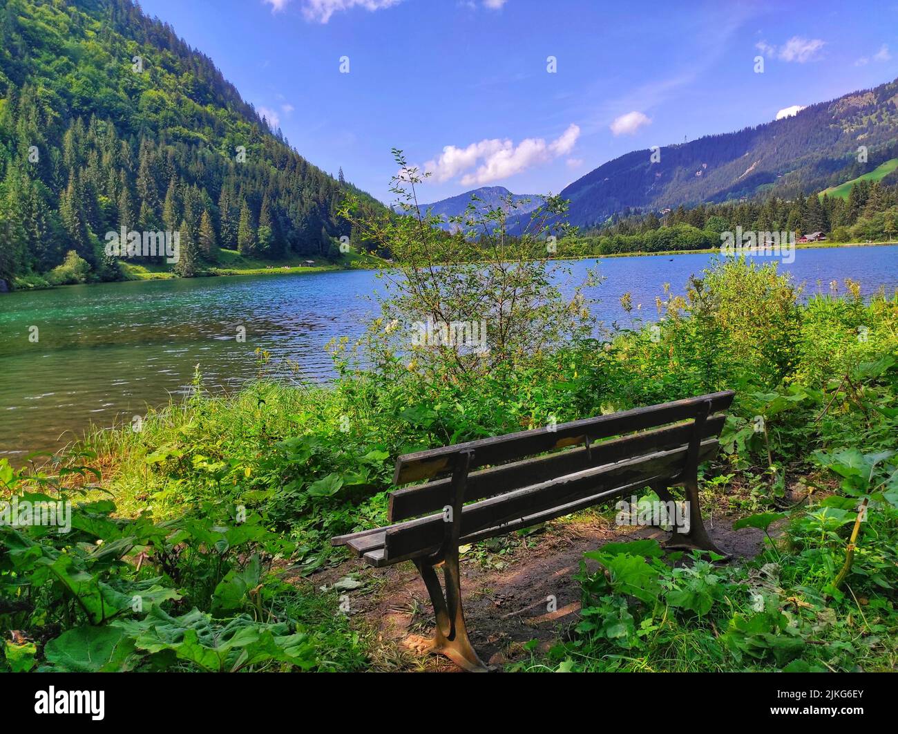 A beautiful lake surrounded by rocks and vegetation and a lonely bench ...
