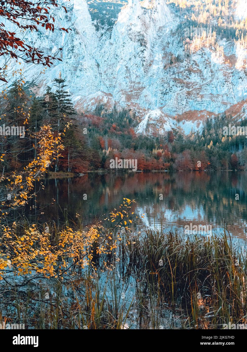 Morning scene in hi-res stock photography and images - Alamy