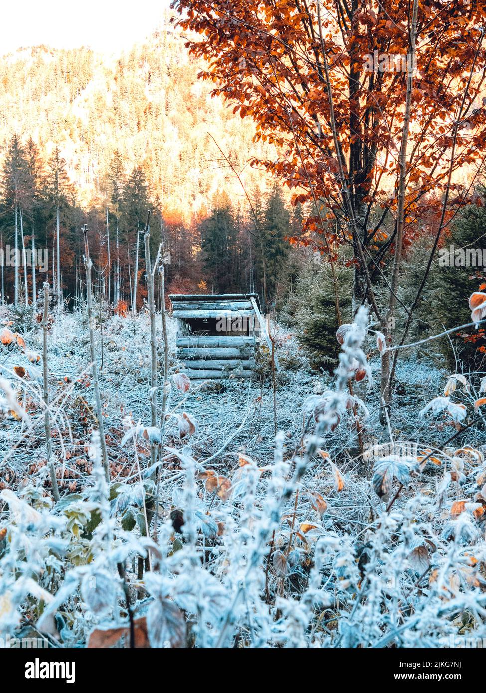 Ocotober hi-res stock photography and images - Alamy