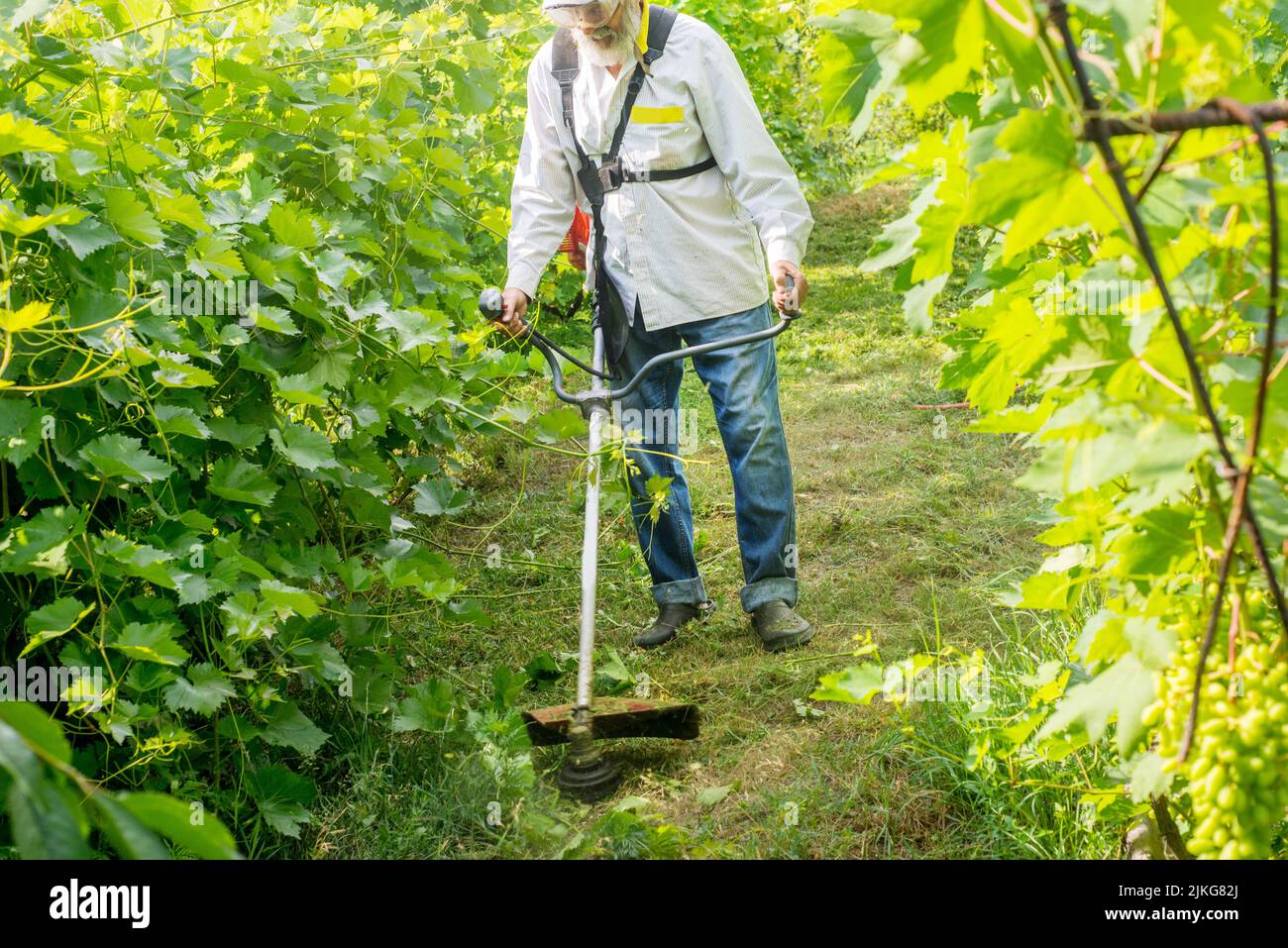 Mow grass hi-res stock photography and images - Alamy