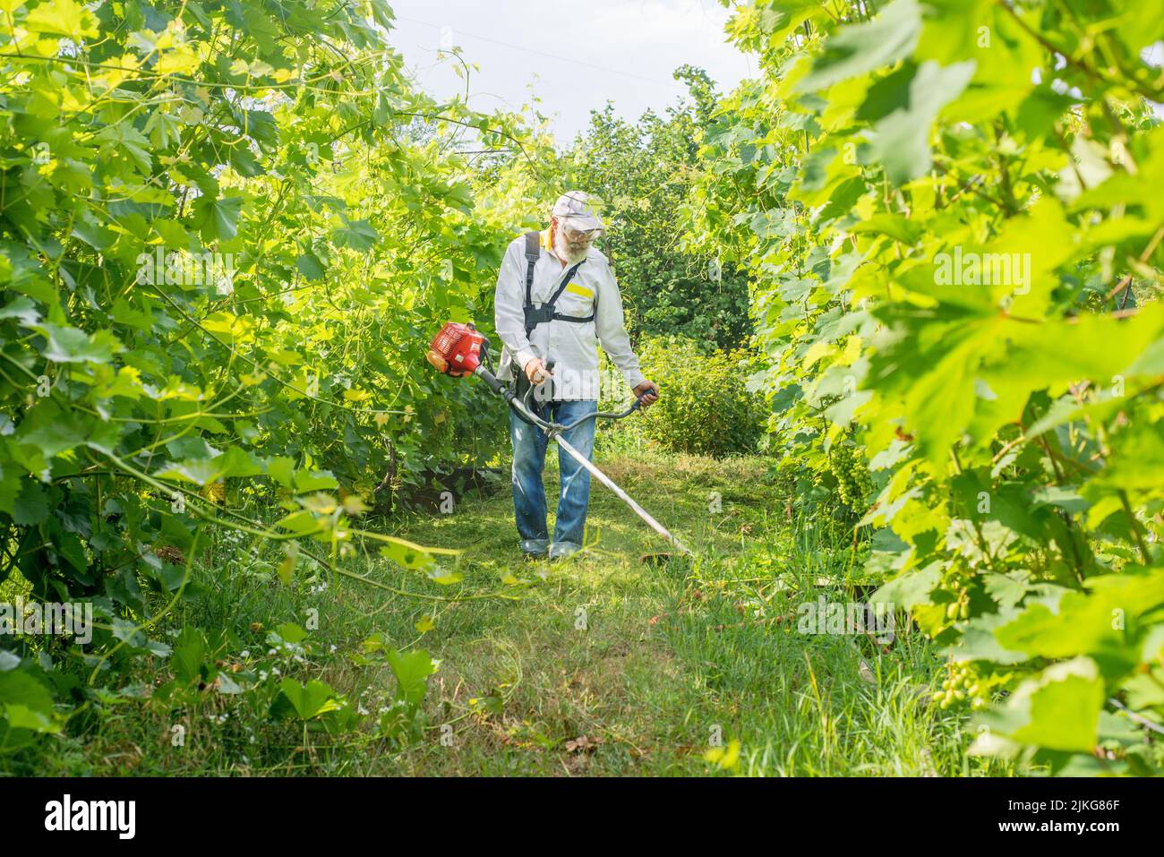 Manual lawn trimmer hi-res stock photography and images - Alamy