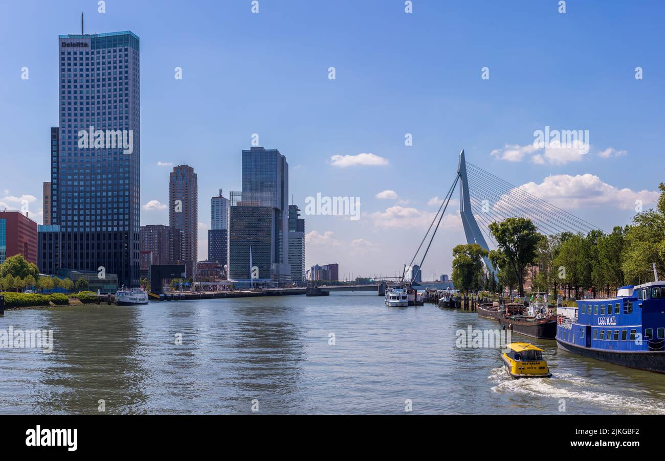 View on the Wilhelminapier and the famous Erasmus bridge (Erasmusbrug ...