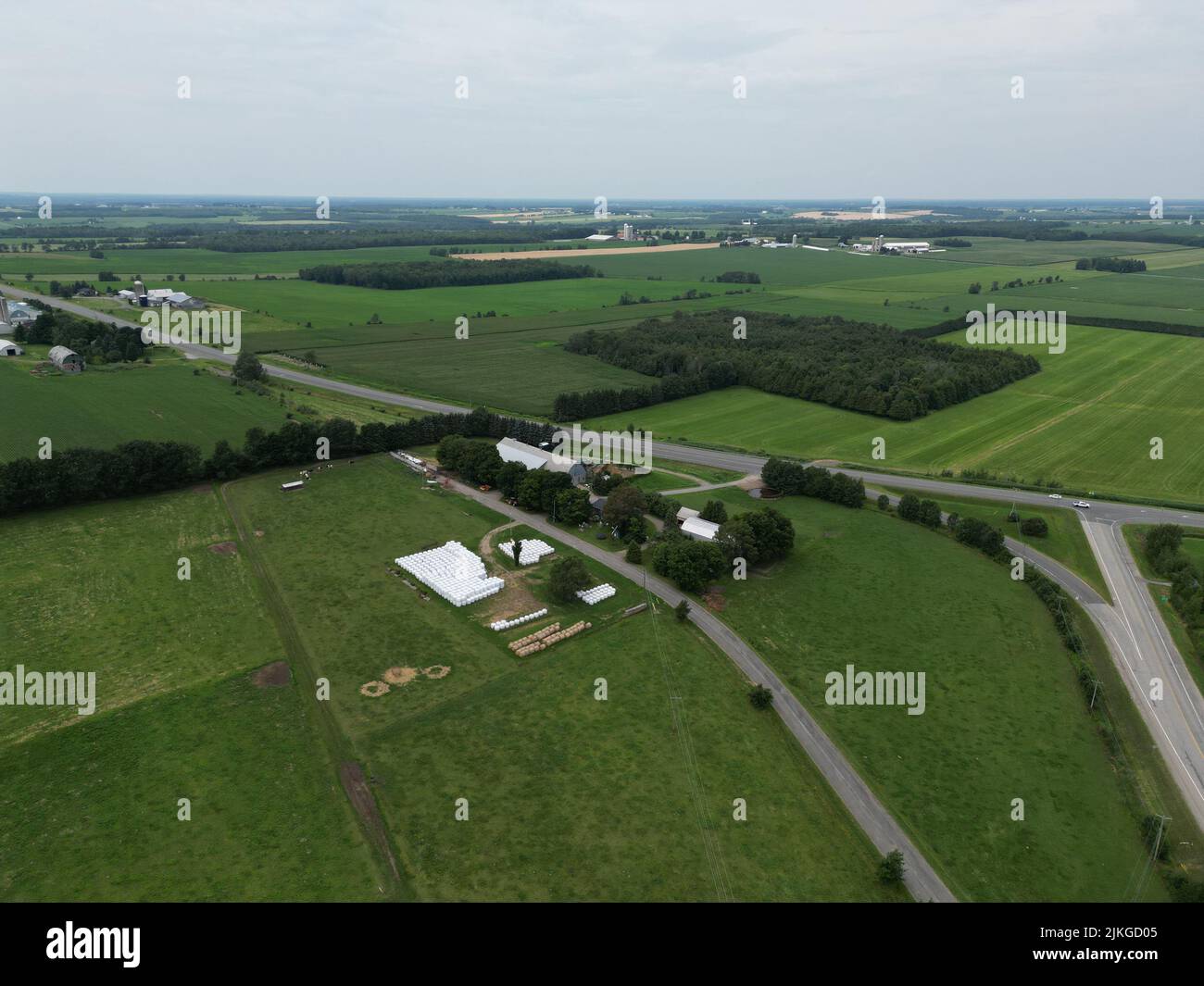 A bird's eye view of an evergreen agricultural field Stock Photo - Alamy