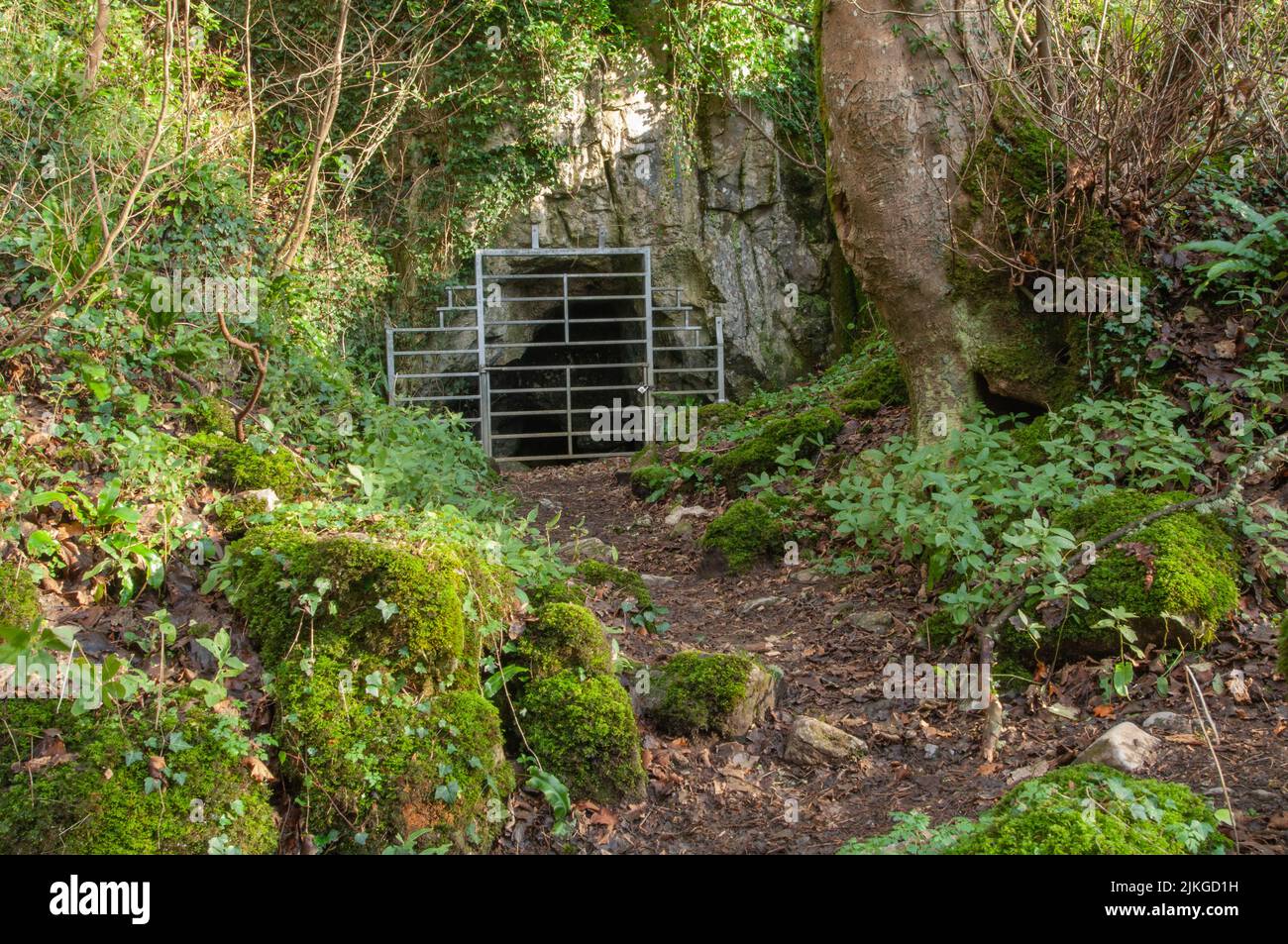 Entrance to Cathole-rock cave, Gower, Wales, UK Stock Photo - Alamy