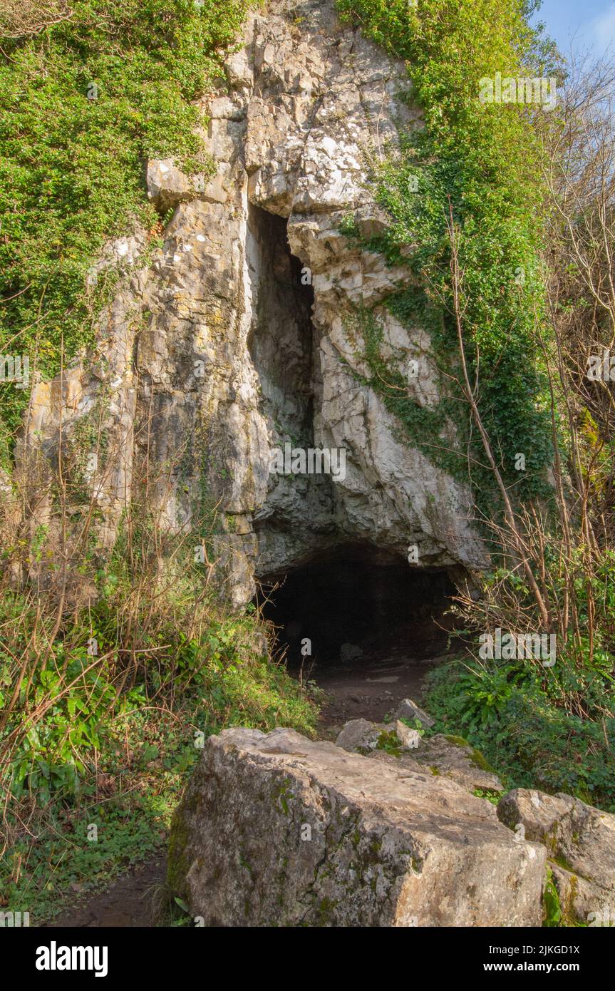 Entrance to Cathole-rock cave, Gower, Wales, UK Stock Photo - Alamy