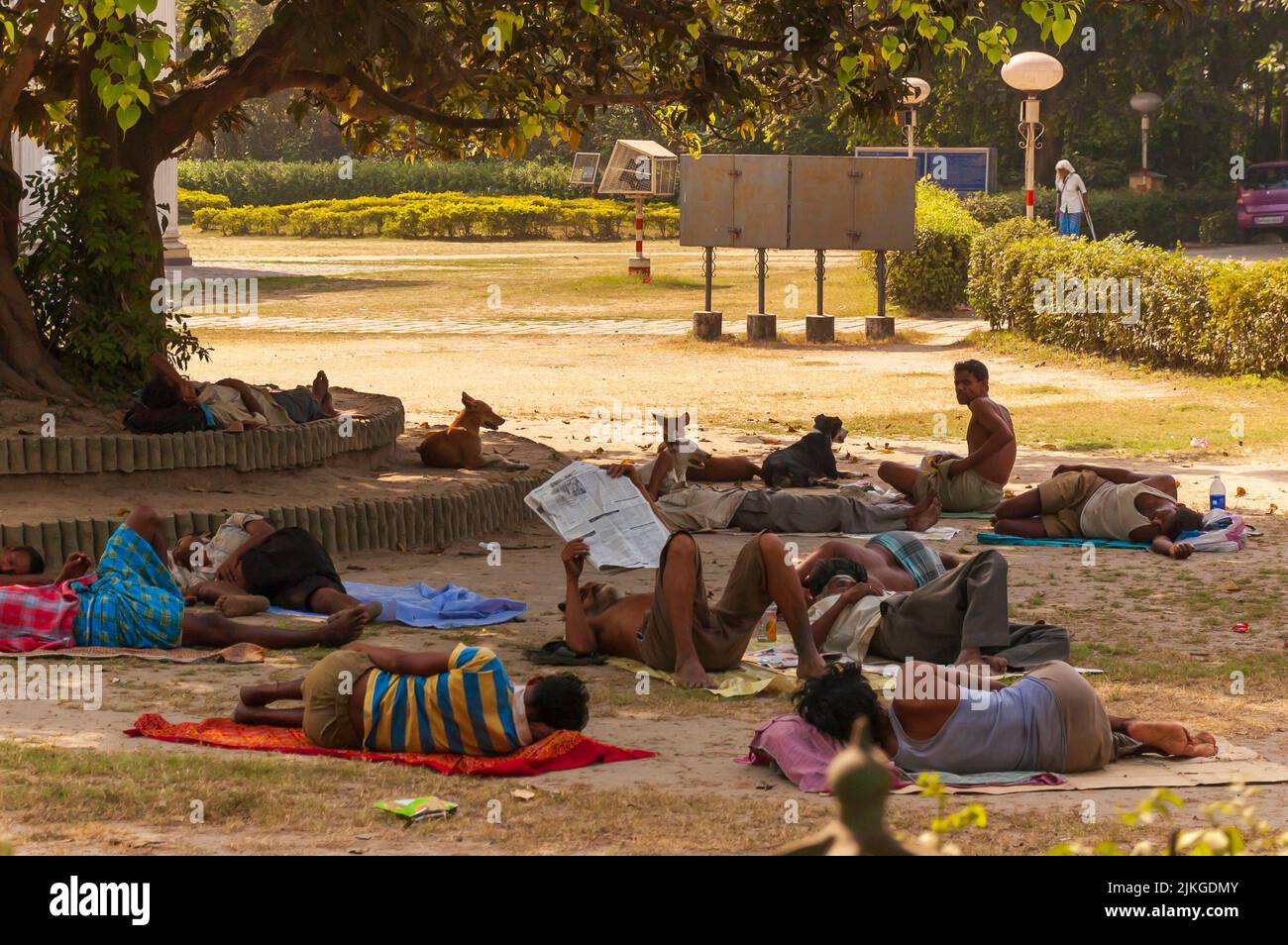 Homeless people and street dogs in Calcutta or Kolkata take shelter ...