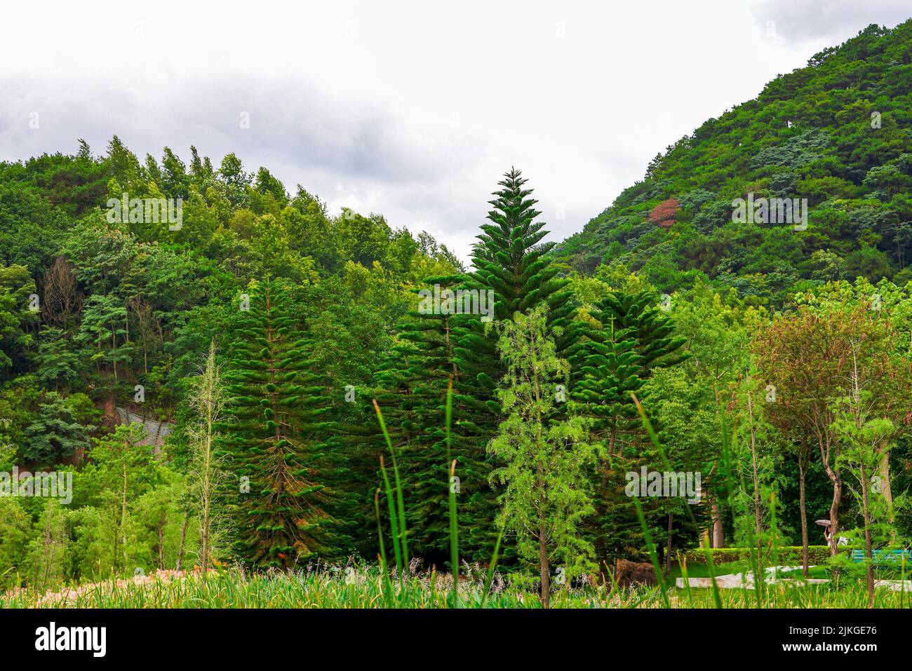 View of beautiful greenery and ancient buildings in the park Stock ...