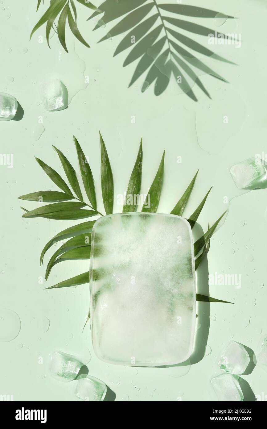 Summer mint green background with ice cubes and exotic palm leaves. Ice ...