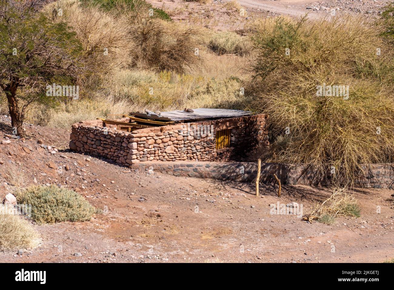 Ruins of an old hacienda in the Catarpe Valley near San Pedro de ...