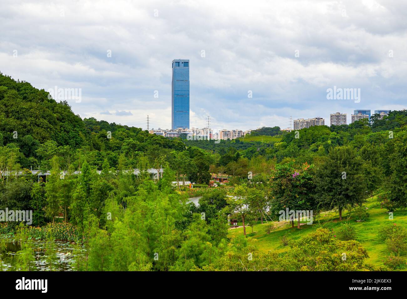 Beautiful greenery view in the park Stock Photo - Alamy