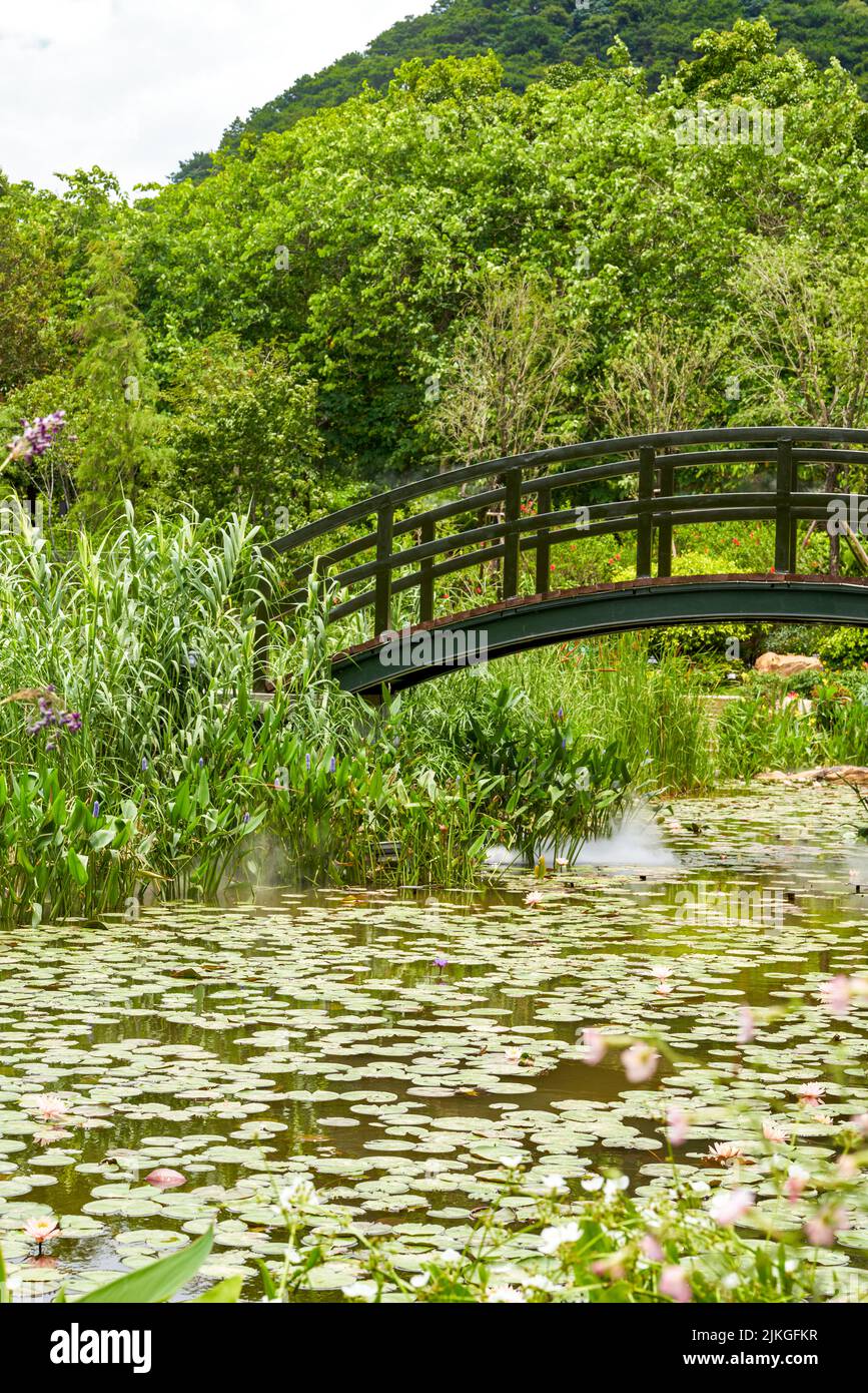 Recreational beautiful plants and trail view in the park Stock Photo ...
