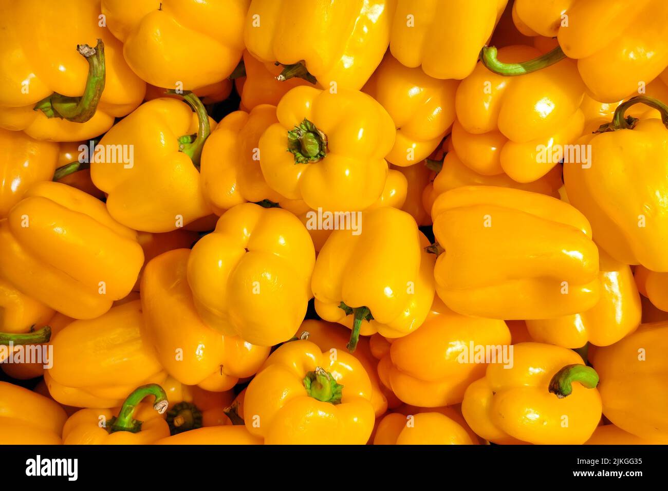 Large pile of yellow sweet peppers on market counter. Food background ...