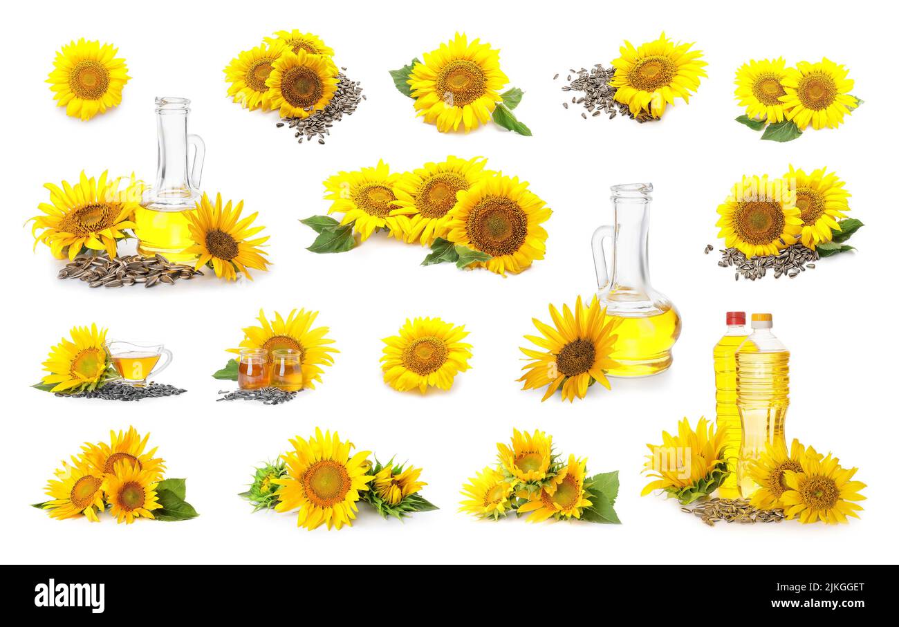 Set of beautiful sunflowers, oil and seeds isolated on white Stock ...