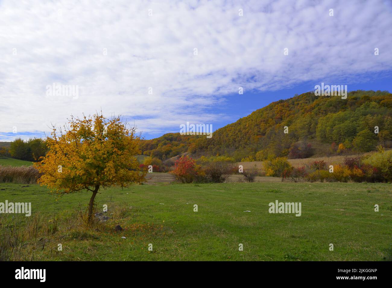 Autumn ochre landscape in the Transylvanian hills Stock Photo - Alamy