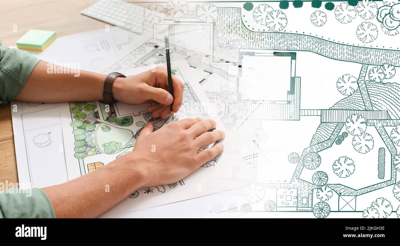 Collage with male landscape designer working in office and project plan ...