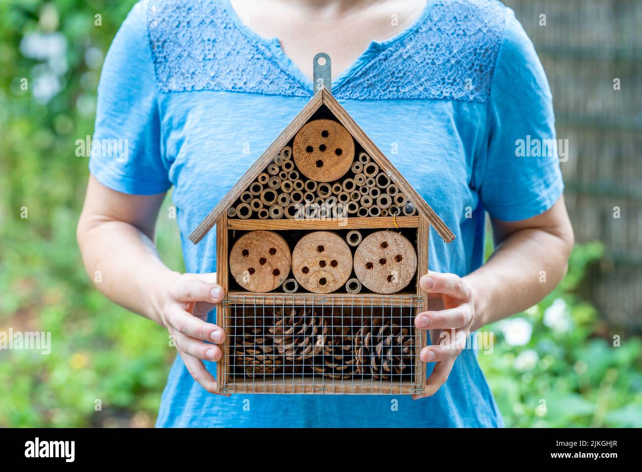 Woman holding beautiful wooden insect hotel Stock Photo - Alamy