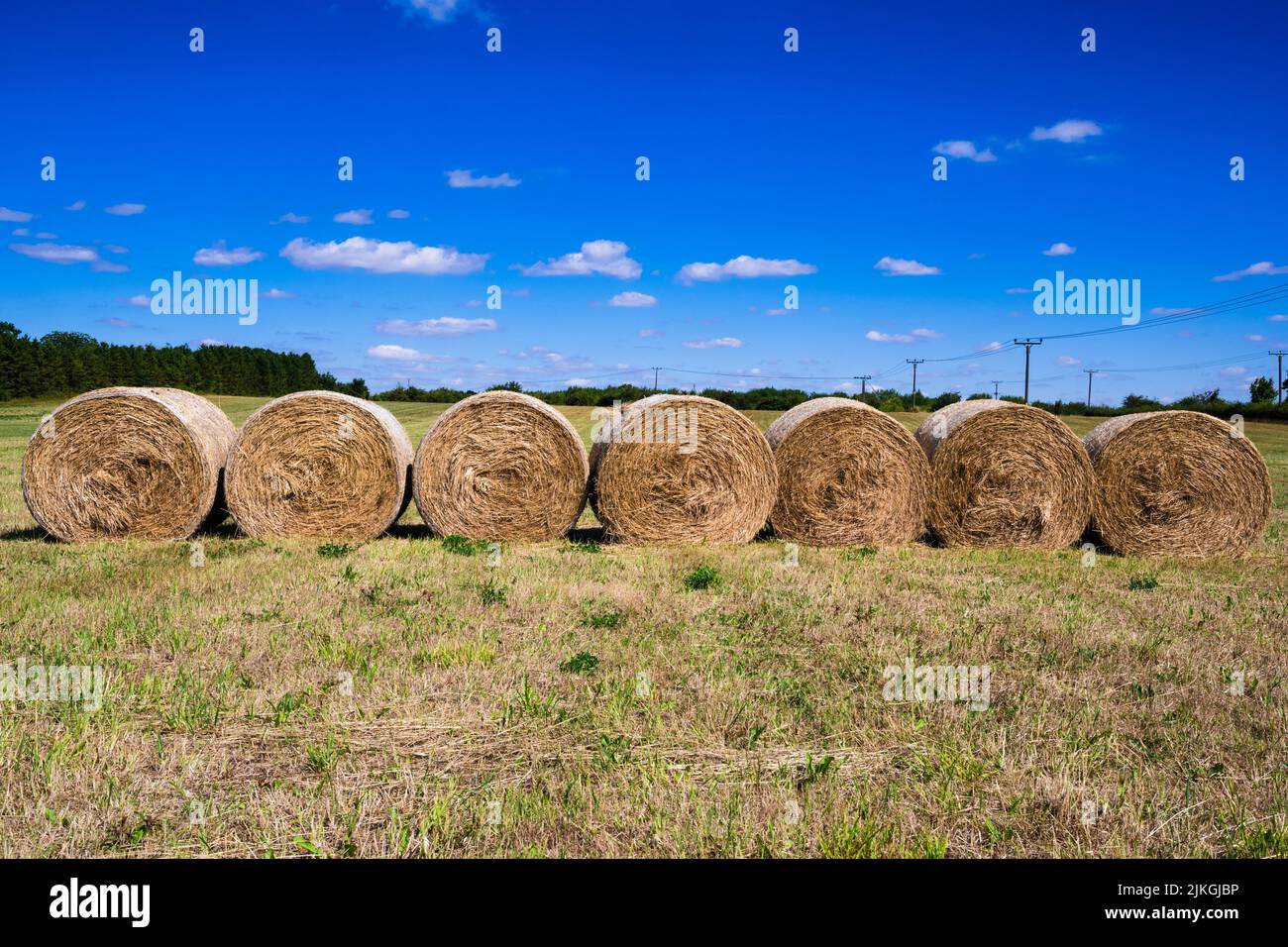 Six bales of rolled hay in field after harvest Stock Photo - Alamy