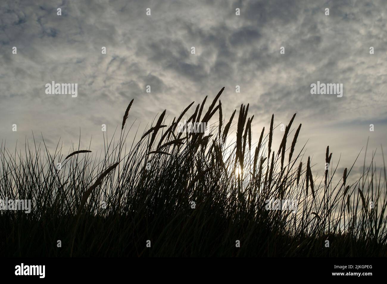 Sandilands beach lincolnshire hi-res stock photography and images - Alamy