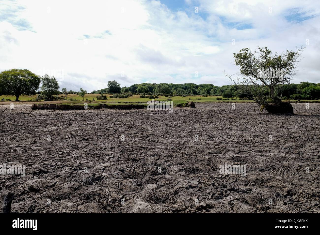 Picture set of Sturtmoor pond Located within Canada Common on the edge ...