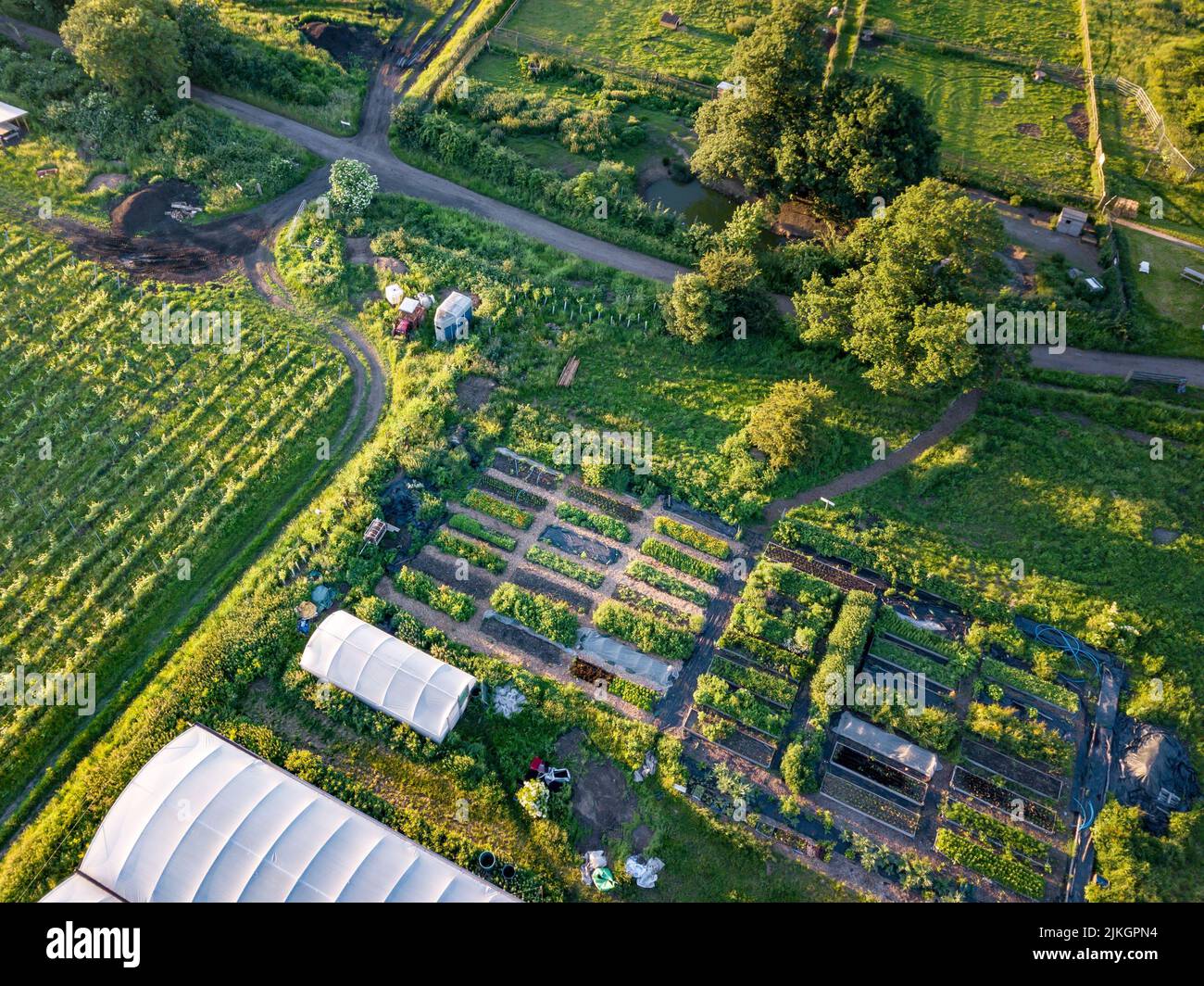 An aerial view of an organic inner-city farm in London, The UK Stock ...