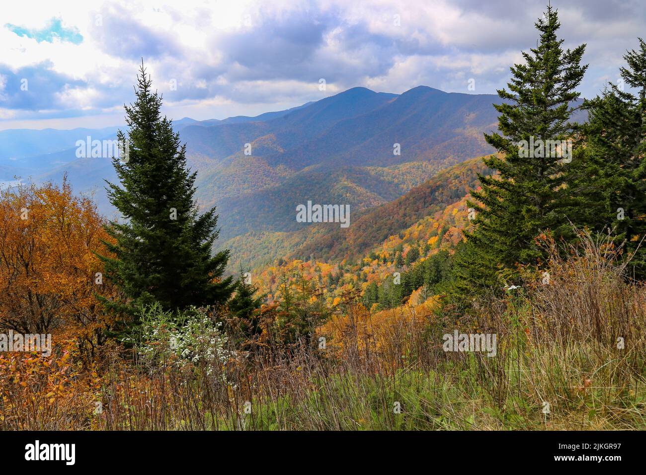 An aerial view of a beautiful forest near the mountains Stock Photo - Alamy