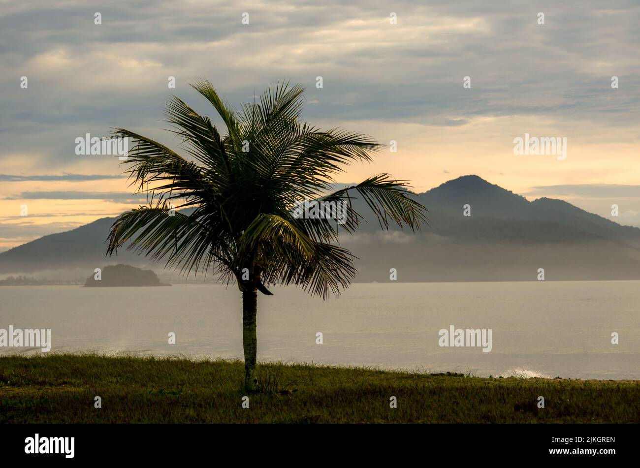 Coconut tree landscape hi-res stock photography and images - Alamy