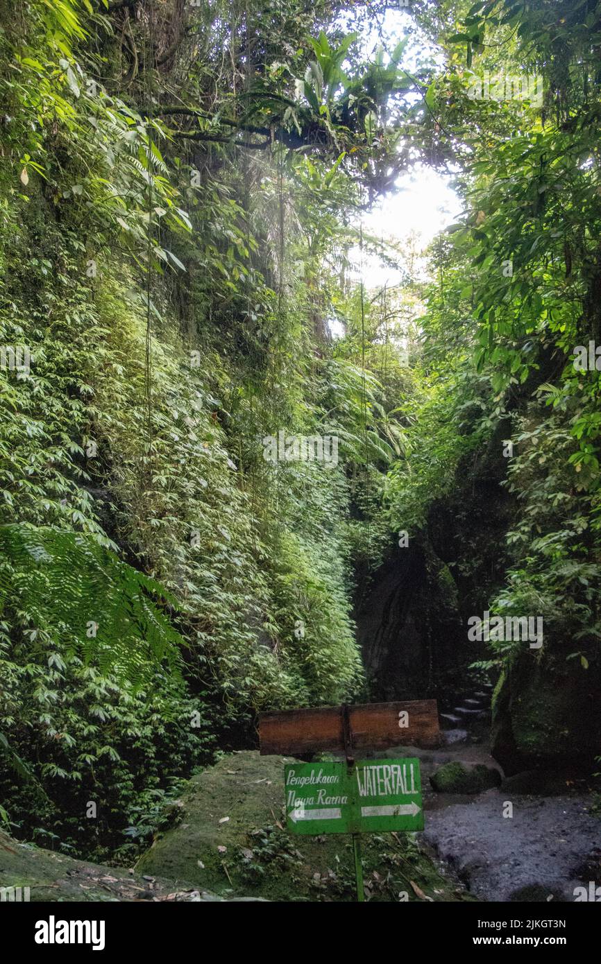 A vertical shot of a river and green foliage with a signboard showing ...