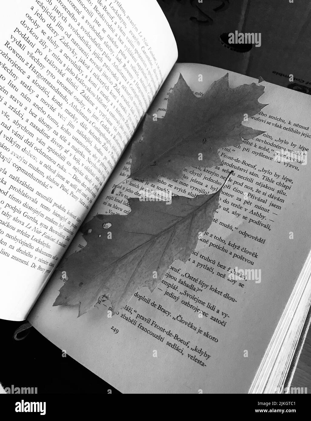 A grayscale top shot of leaves on a book page Stock Photo - Alamy