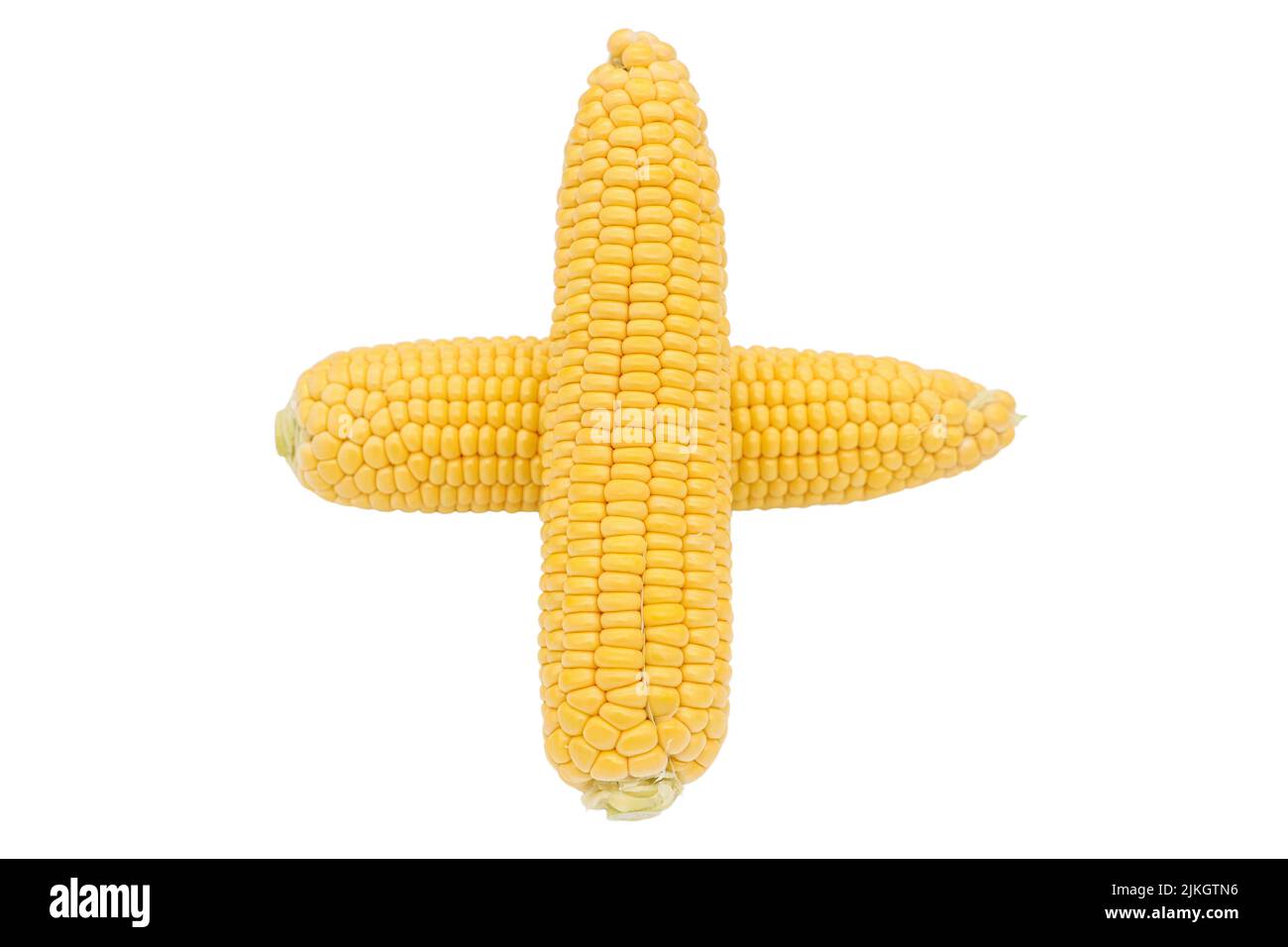 A closeup of two corns isolated in white background Stock Photo - Alamy