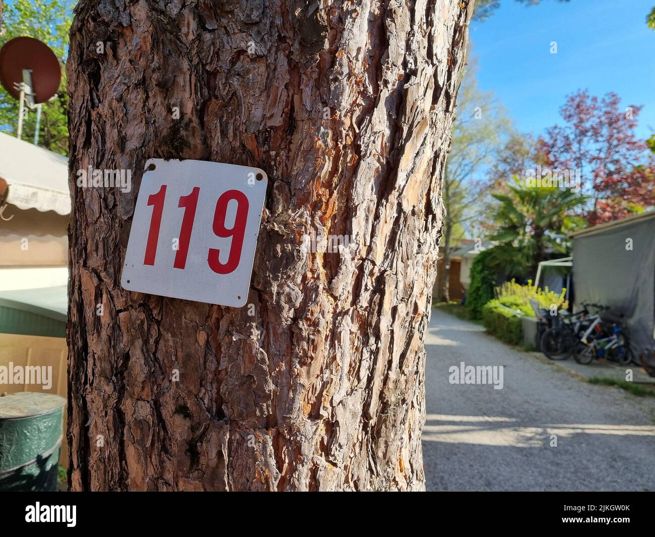Number tree hi-res stock photography and images - Alamy