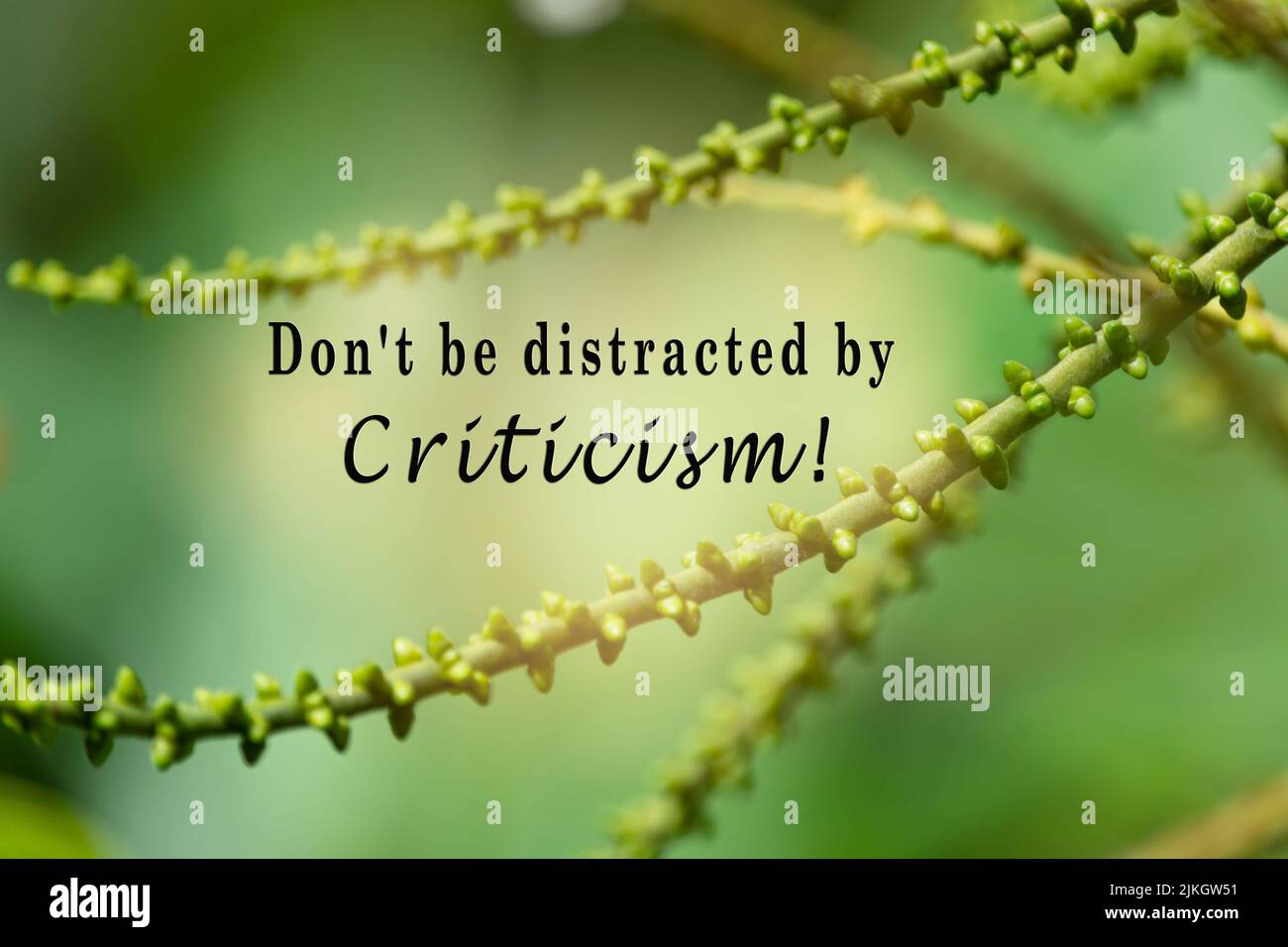 Motivational quote with fresh nature and blurred green leaf background ...