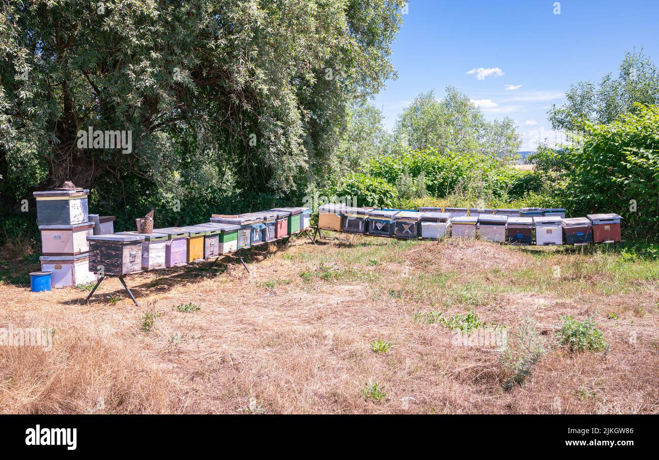 Beekeeping tourism hi-res stock photography and images - Alamy