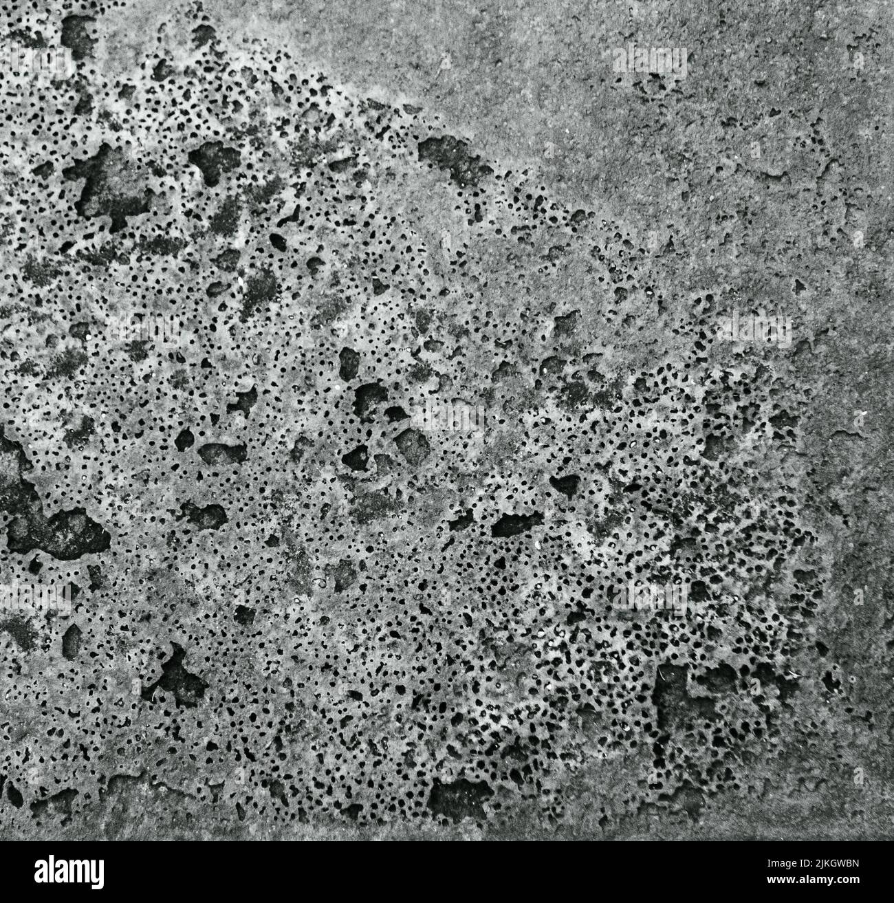 Structure plate hi-res stock photography and images - Alamy