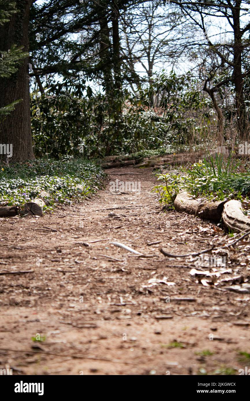 Pathway view hi-res stock photography and images - Alamy