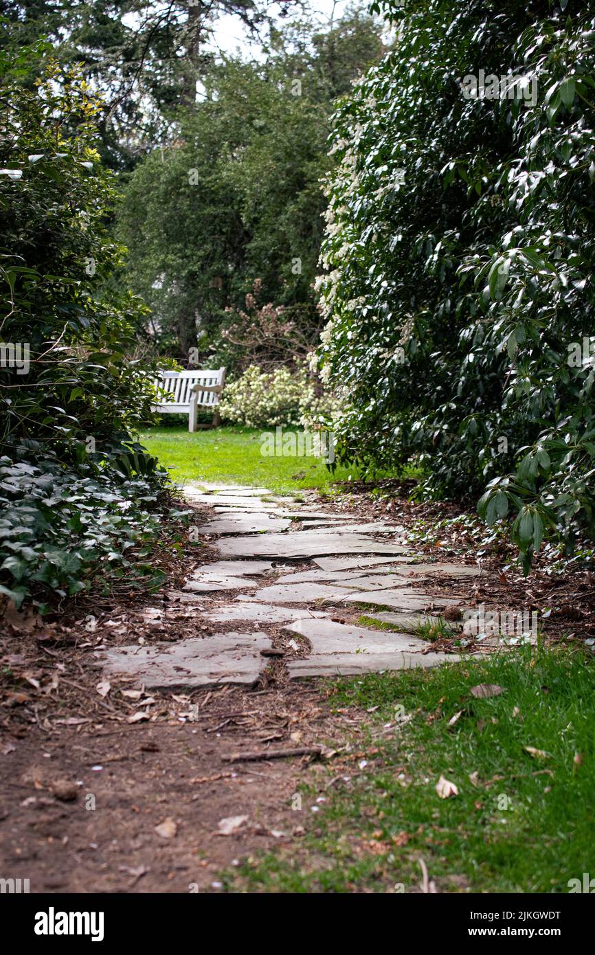 A beautiful view of a paved small pathway surrounded by greens in a ...