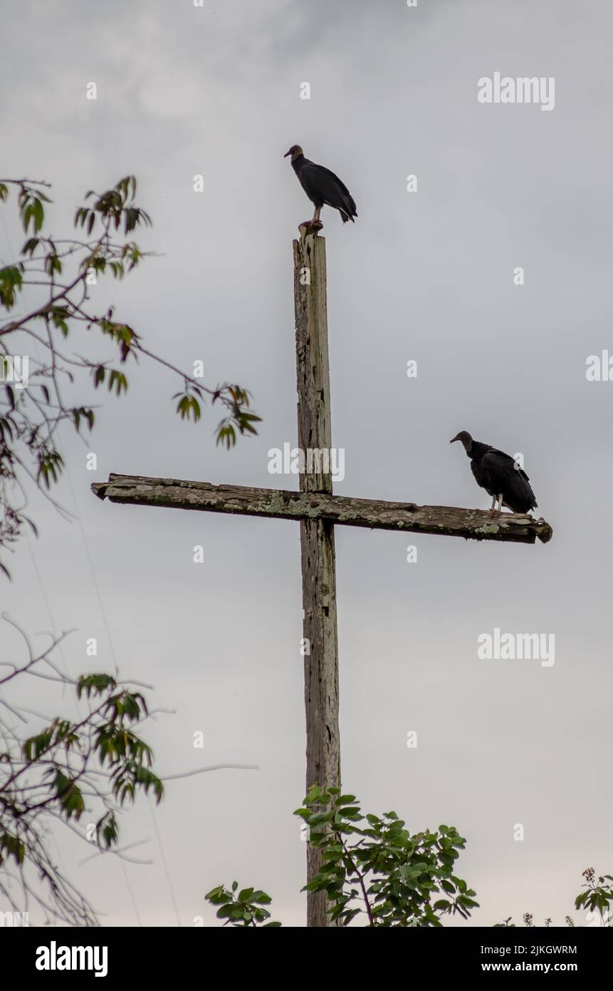 A vertical shot of two birds sitting on a cross on a gloomy day Stock ...