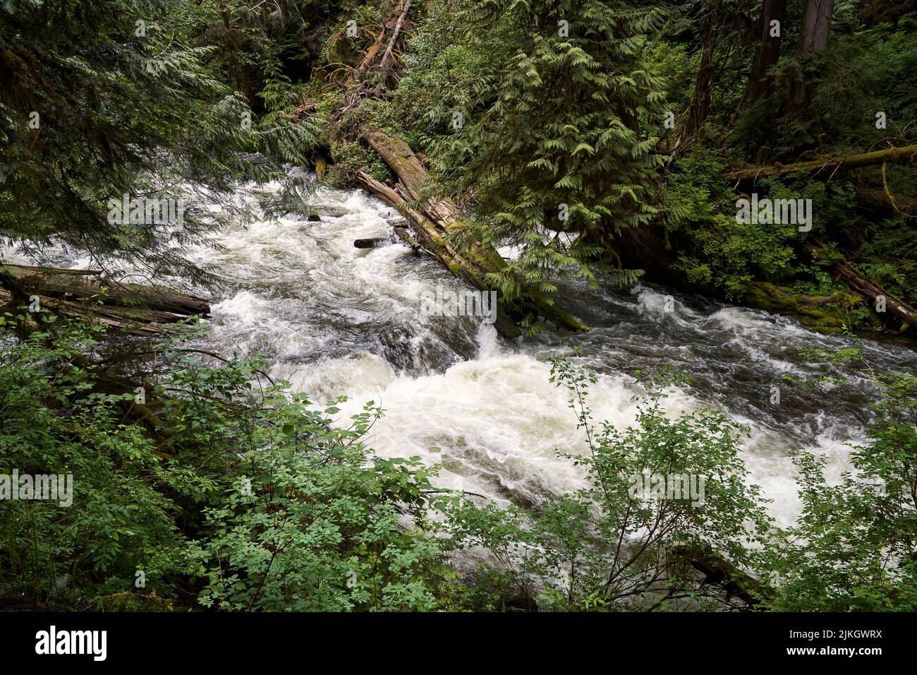 View of a fast moving raging river tumbling over the rocks in a green ...
