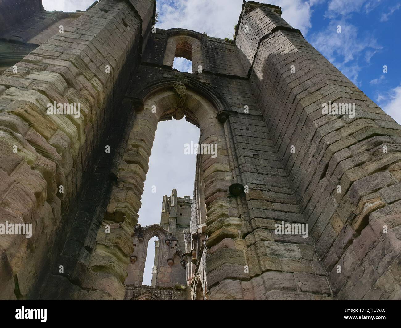 Greenery arch hi-res stock photography and images - Alamy