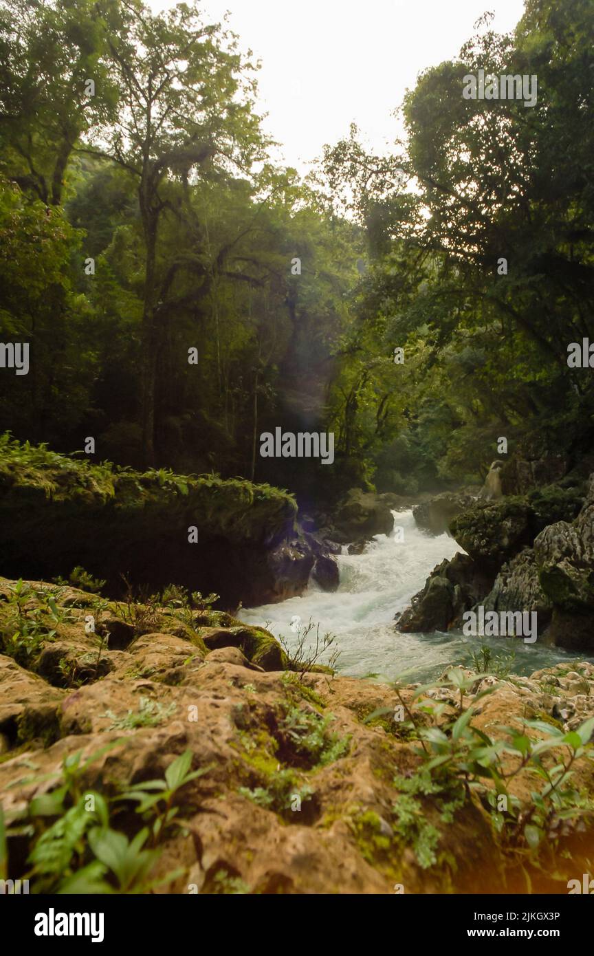Landscape in Semuc Champey, Lanquin, Guatemala, Central America Stock ...