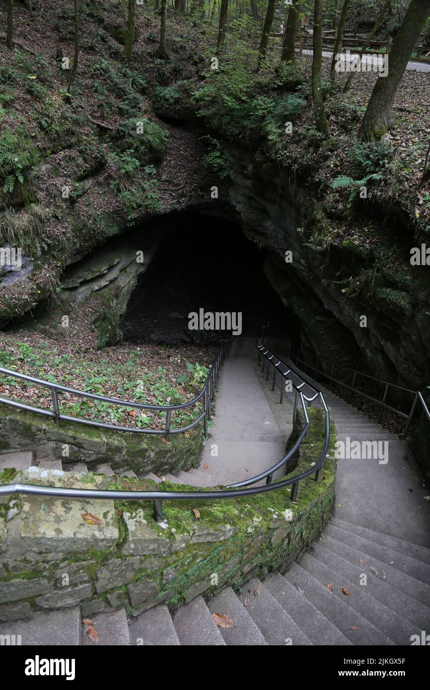 A view of descending stairs to a cave in a dense forest Stock Photo - Alamy