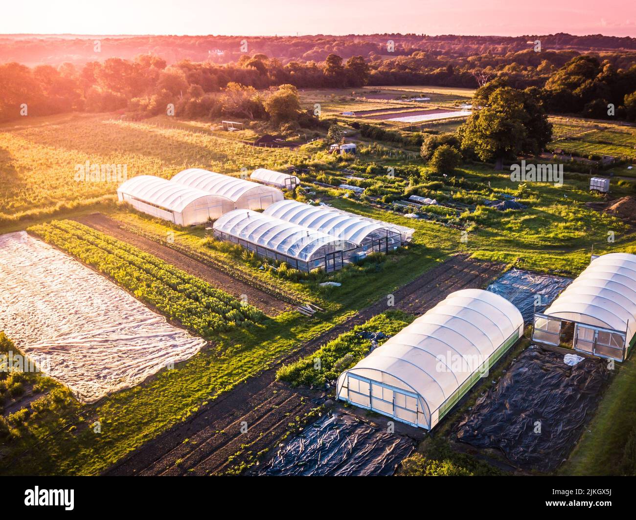 An aerial view of an organic inner-city farm at the sunset in London ...